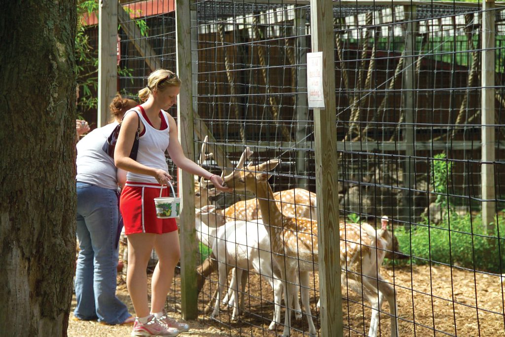 Living Treasures Wild Animal Park - New Castle - The Progress Fund